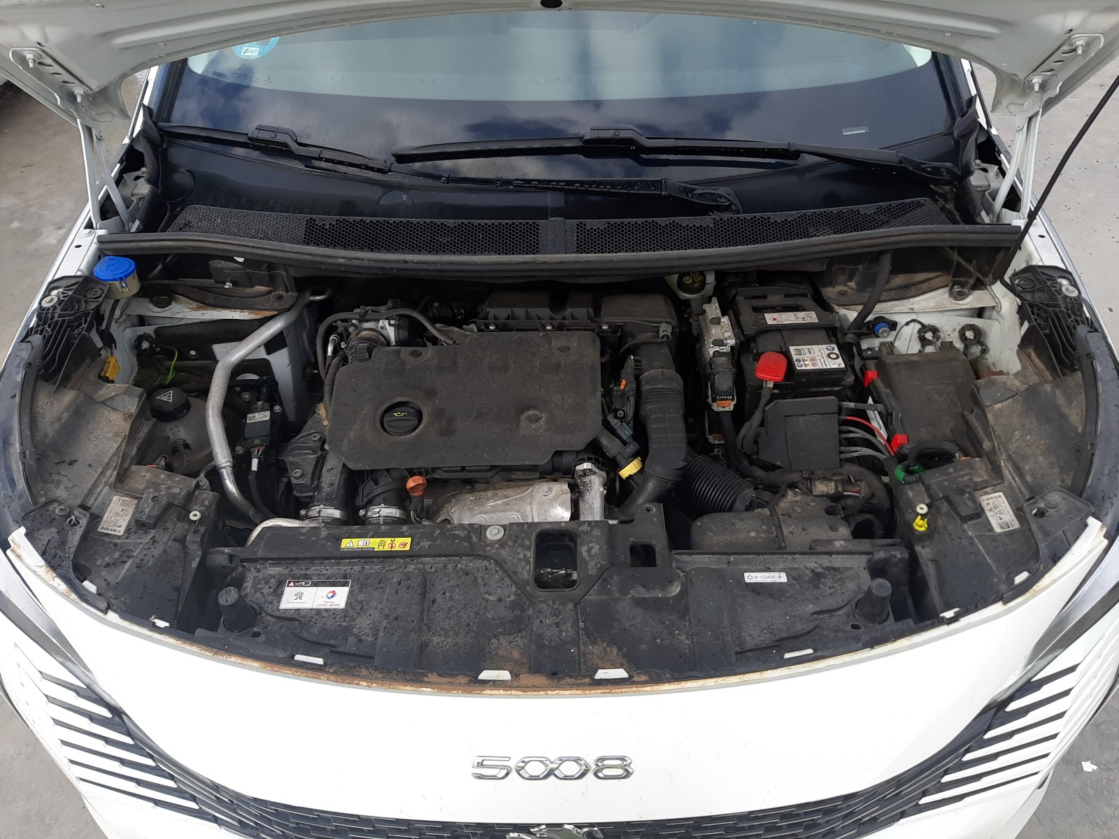 VIN: VF3MCYHZMNS028116 | Peugeot 5008 2022 car history - Stat.vin