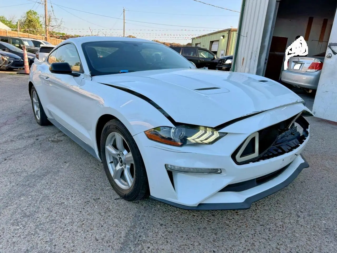 VIN: 1FA6P8TH1K5161216 | FORD ALL Models 2019 MUSTANG WHITE 2.3L 4 free ...
